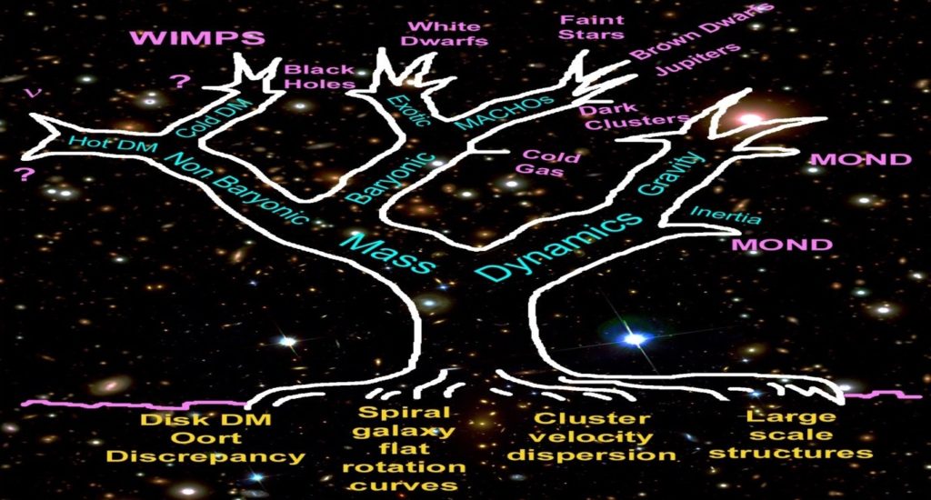 Dark matter candidates – THE PHYSICS DETECTIVE