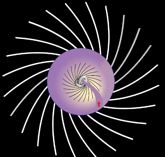 The neutron – THE PHYSICS DETECTIVE